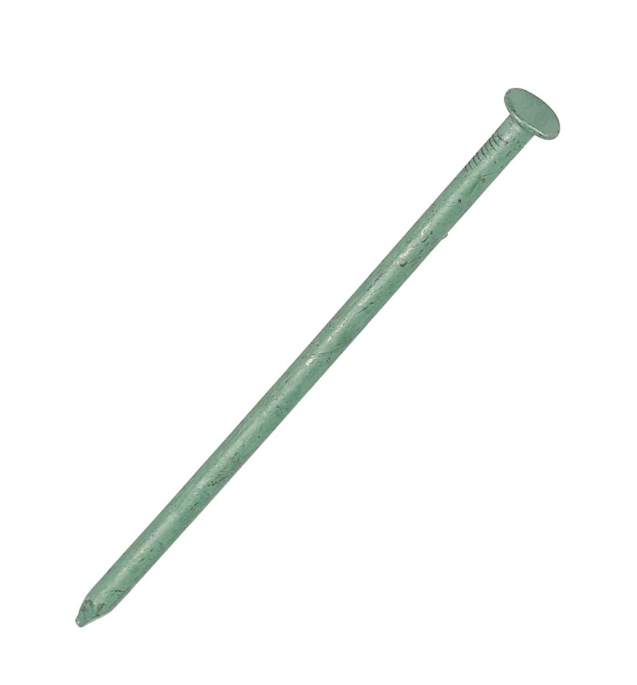 Easyfix Exterior Nails Outdoor Green Corrosion-Resistant 4.5mm x 100mm ...