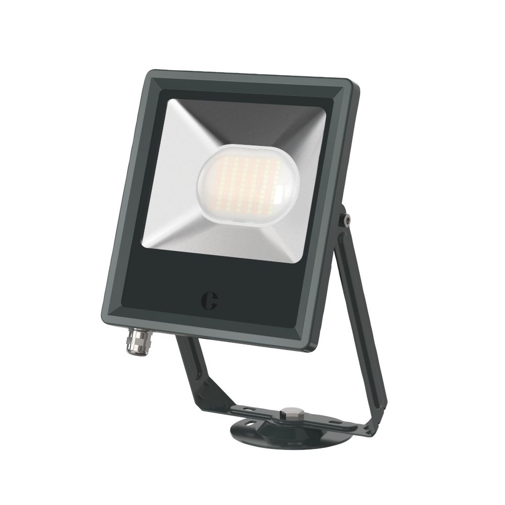 Collingwood Indoor & Outdoor LED Residential Floodlight Anthracite 50W ...