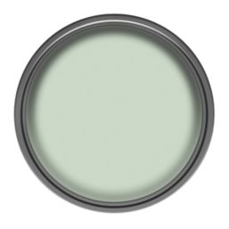 Dulux Matt Bathroom Paint Willow Tree 2.5Ltr - Screwfix