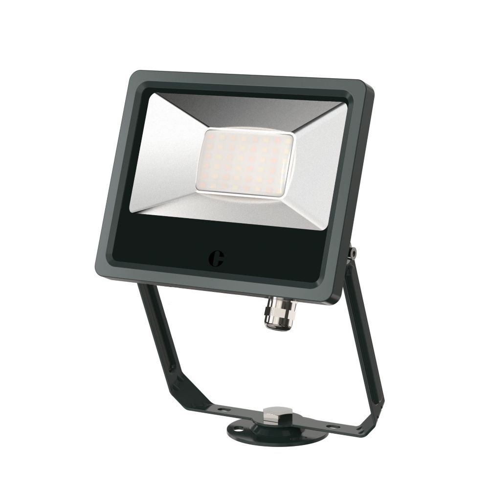 Collingwood Indoor & Outdoor LED Residential Floodlight Anthracite 20W ...