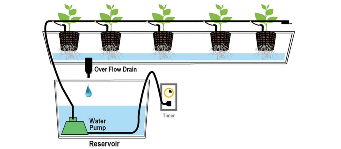 Garden Watering System Guide | Screwfix